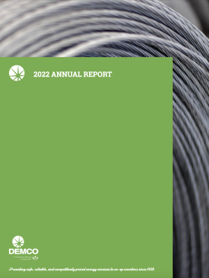 Annual Report | DEMCO
